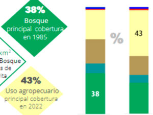 MapBiomas Venezuela